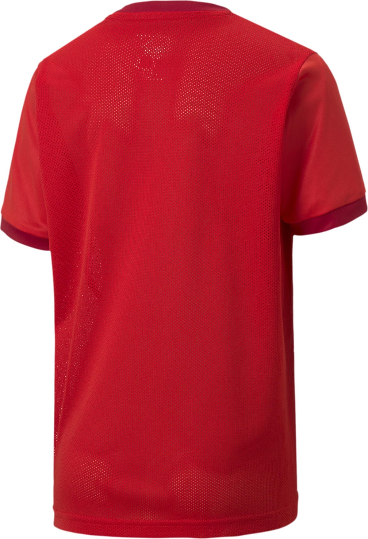 Puma Team Goal 23 Youth Soccer Jersey - Red - Niky's Sports