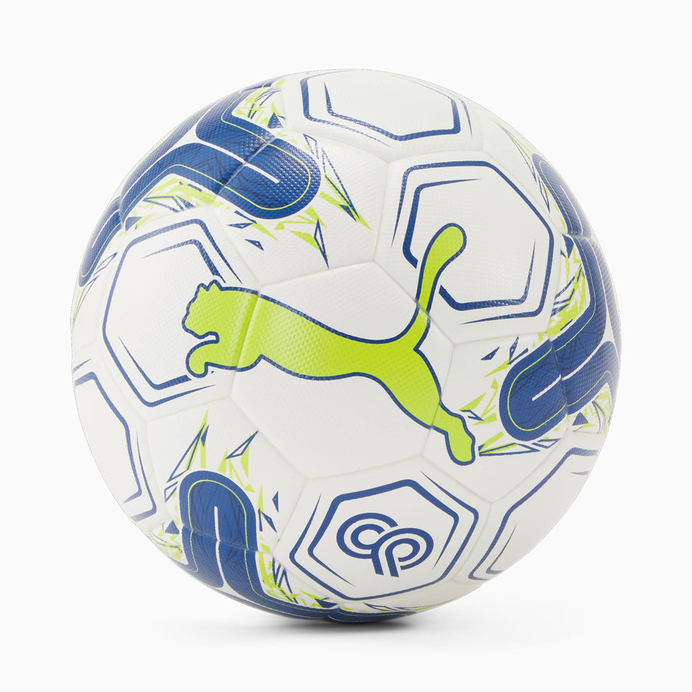 PUMA x CHRISTIAN PULISIC Cat Soccer Ball - Niky's Sports